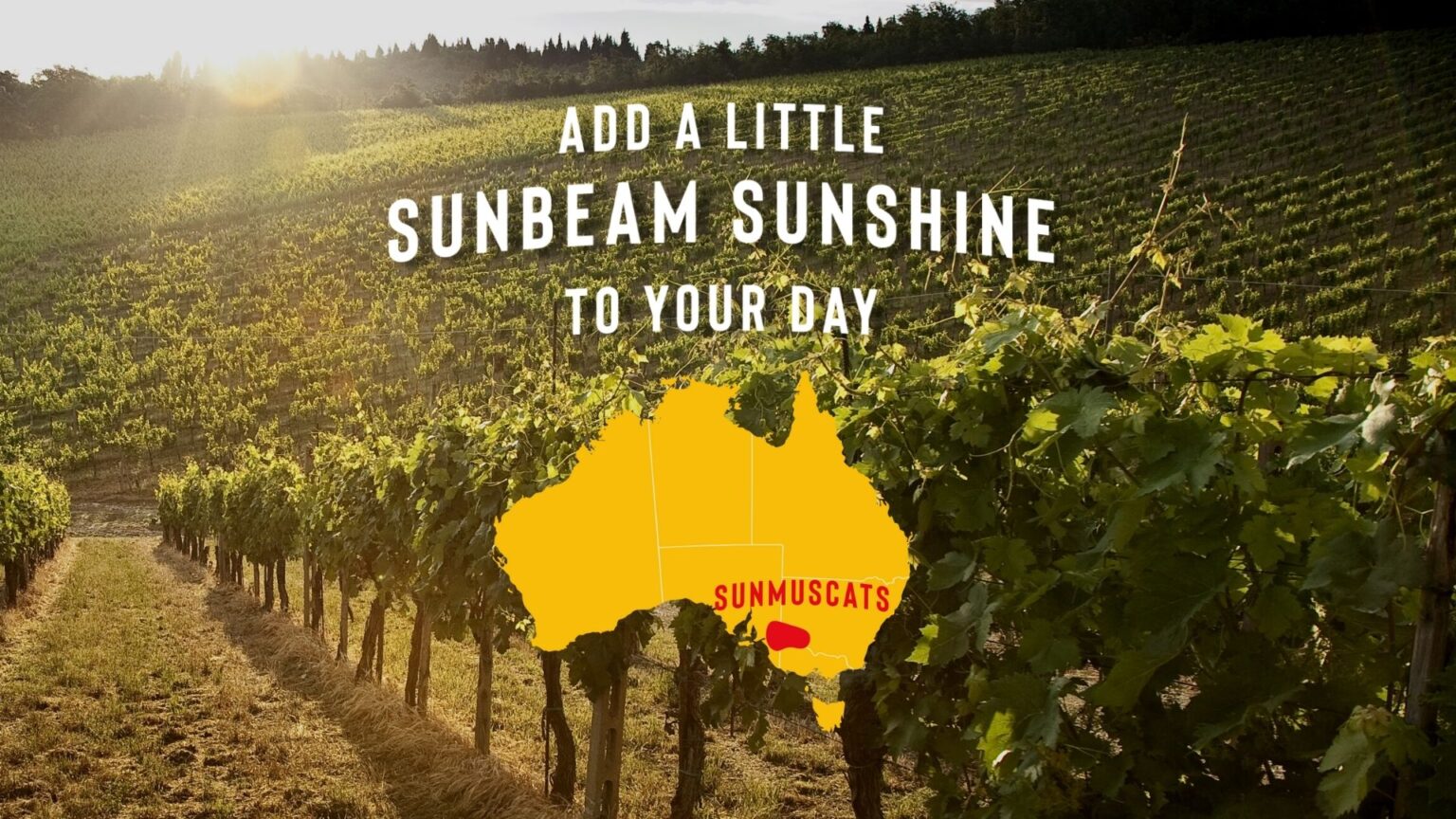 About Us - Sunbeam Foods - Australian Dried Fruits