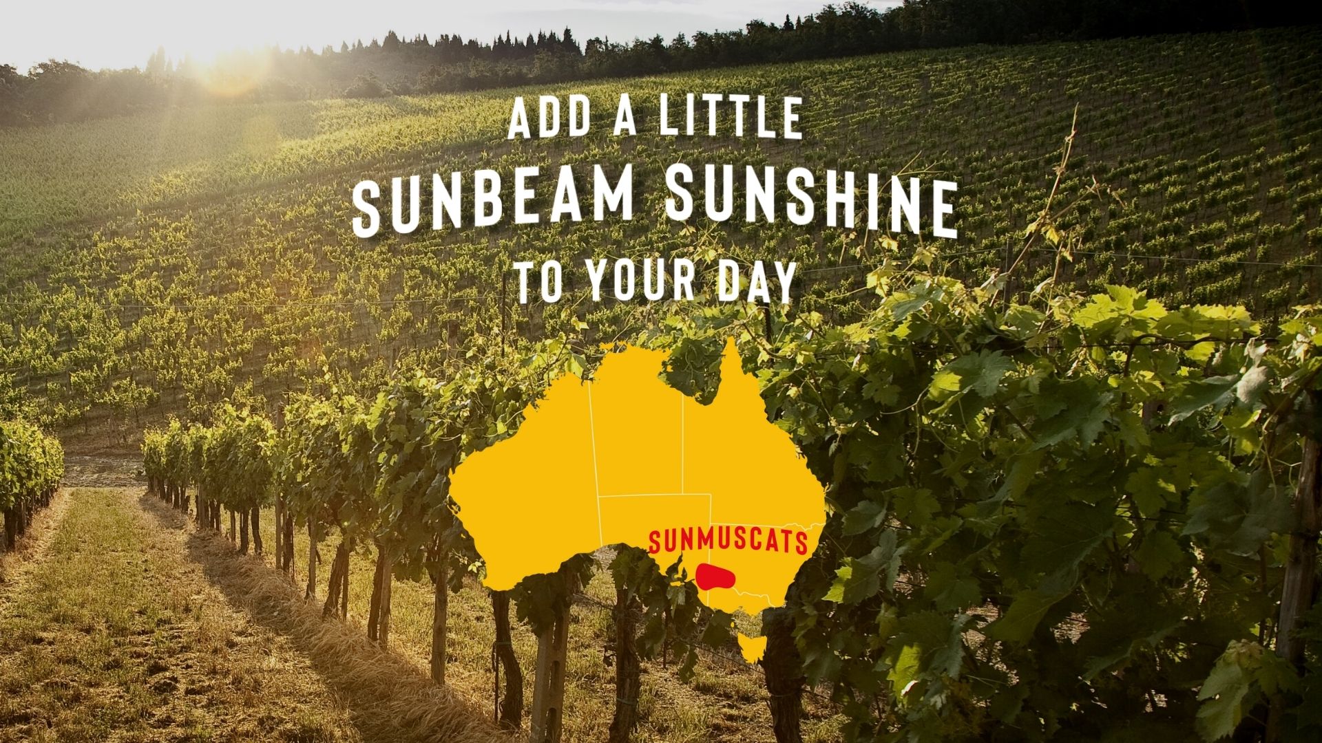 About Us - Sunbeam Foods - Australian Dried Fruits